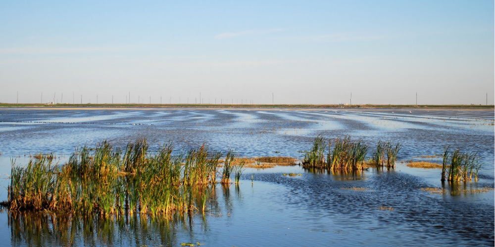 U.S. Army Corps of Engineers to Process Section 404 Permits While ...